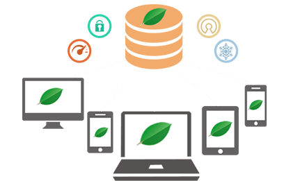 MongoDB là gì? Các tính năng nổi bật của MongoDB mà bạn cần biết ...