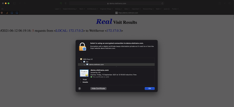 Docker: Deploy Nginx, Let's Encrypt web service có SSL đơn giản nhất ...