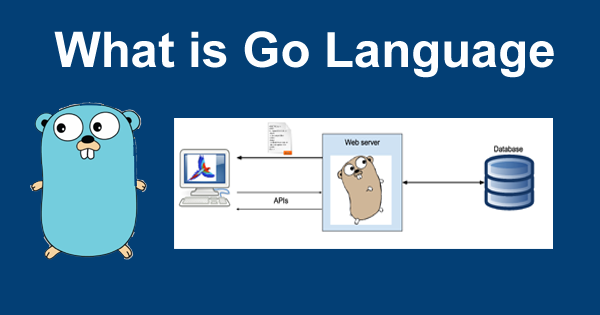Golang là gì? Backend Developer có nên học Golang | 200Lab Blog