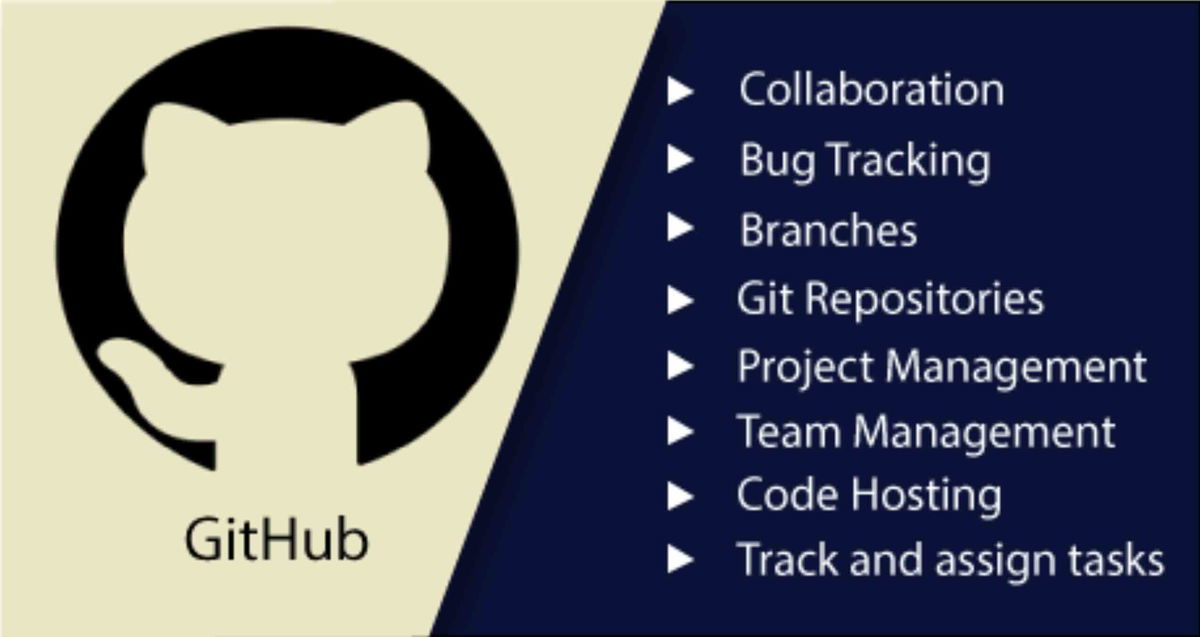 GitHub là gì? Vai trò của GitHub trong lập trình | 200Lab Blog