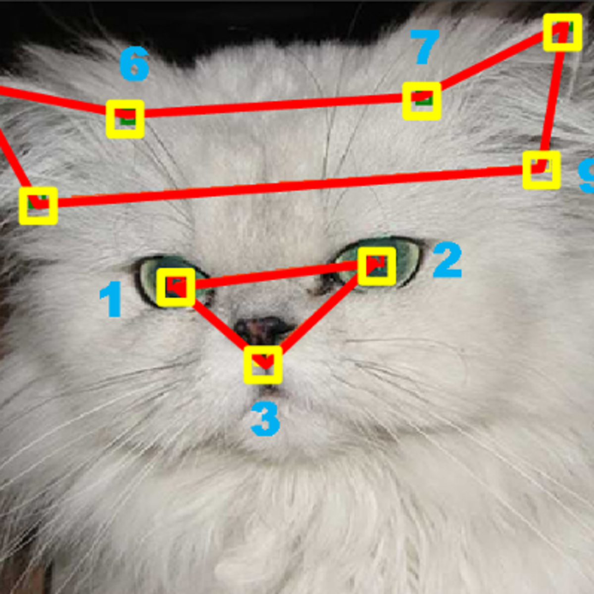 Computer Vision là gì? Những Ứng dụng của Thị giác máy tính | 200Lab Blog